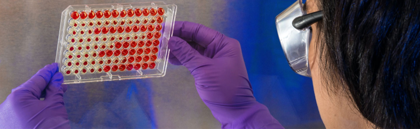 American Chemi Pharma INC