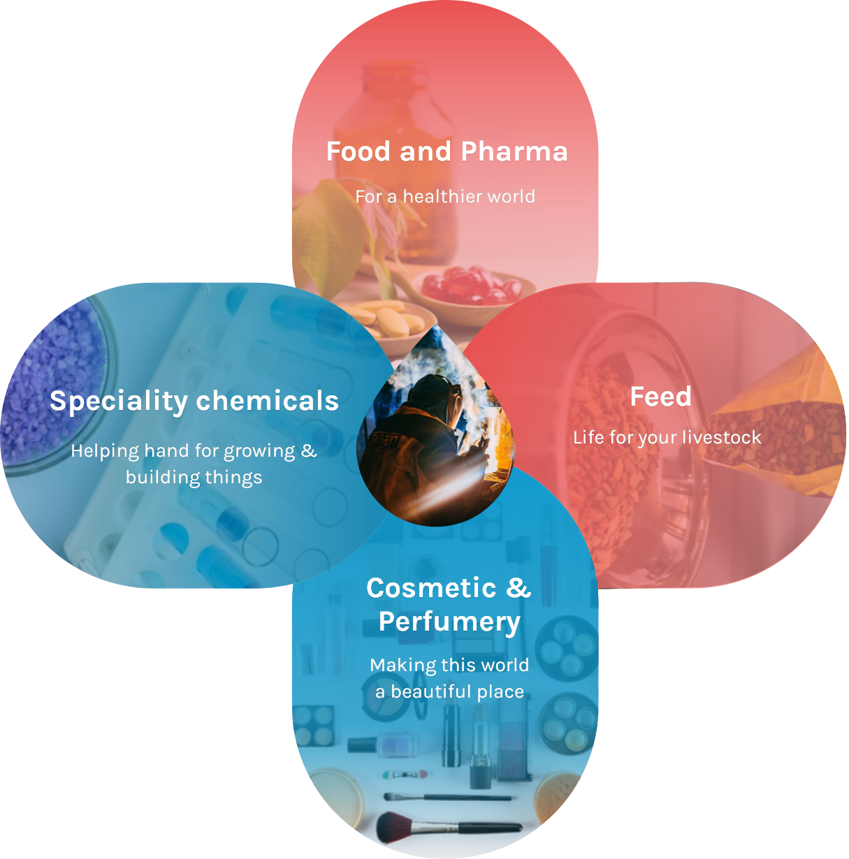 American Chemi Pharma INC